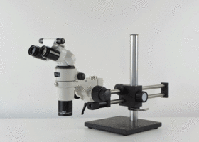 Stereo Microscope