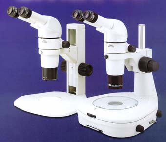 Nikon SMZ800 / SMZ1000: RYF AG